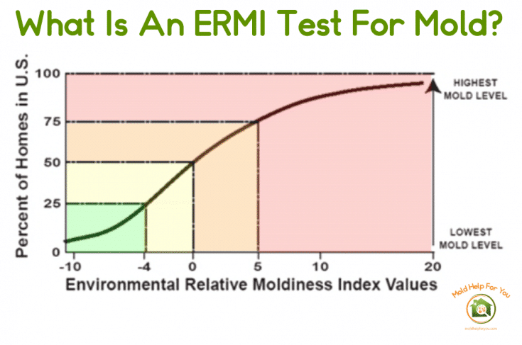 What Is An ERMI Mold Test? | Mold Help For You