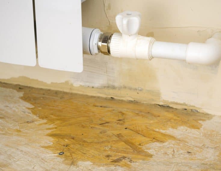 Leak Detection and Moisture Intrusion | Mold Help For You