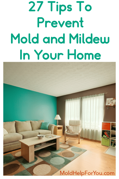 27 Tips To Prevent Mold and Mildew In Your Home | Mold Help For You