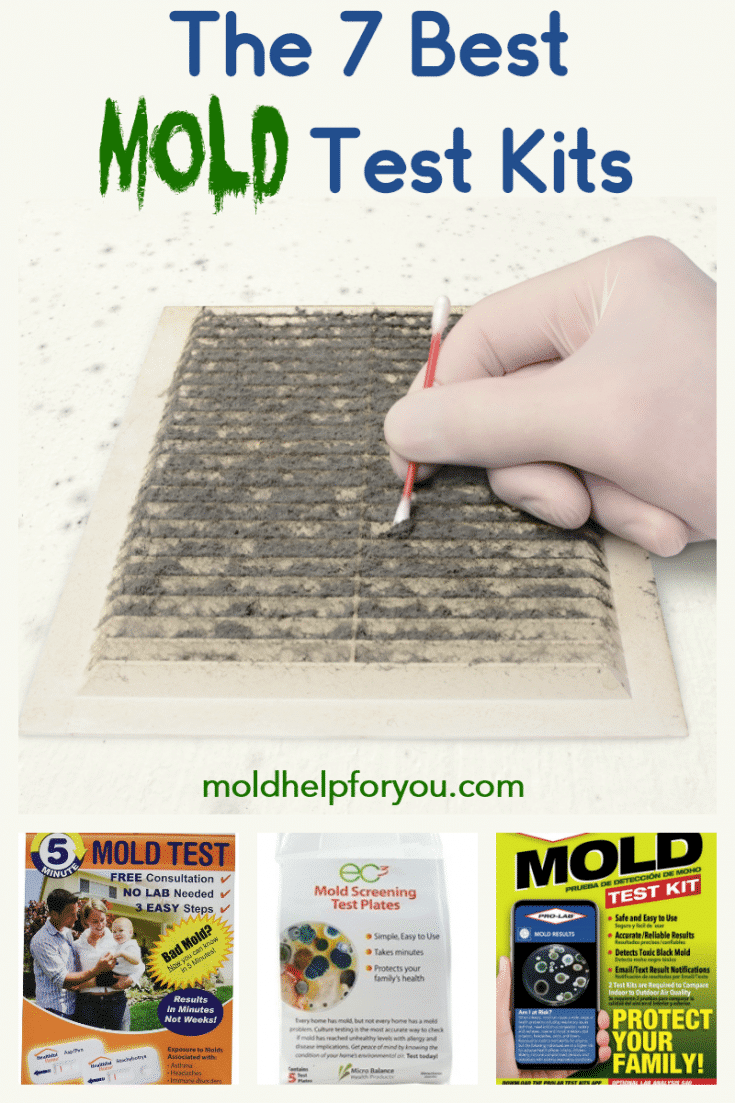 The 7 Best Mold Test Kits | Mold Help For You