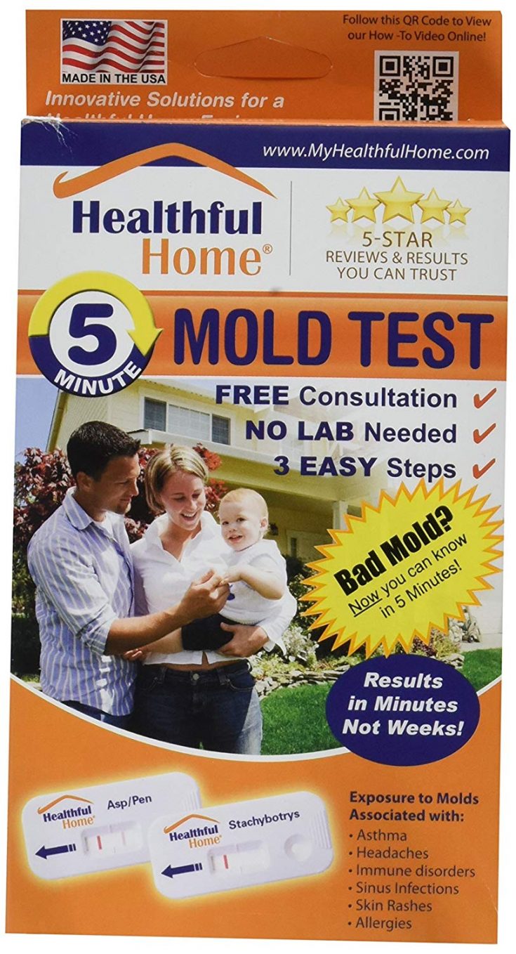 The 7 Best Mold Test Kits | Mold Help For You