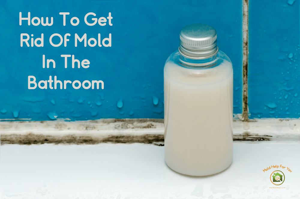 How To Prevent Mold In The Bathroom | Mold Help For You