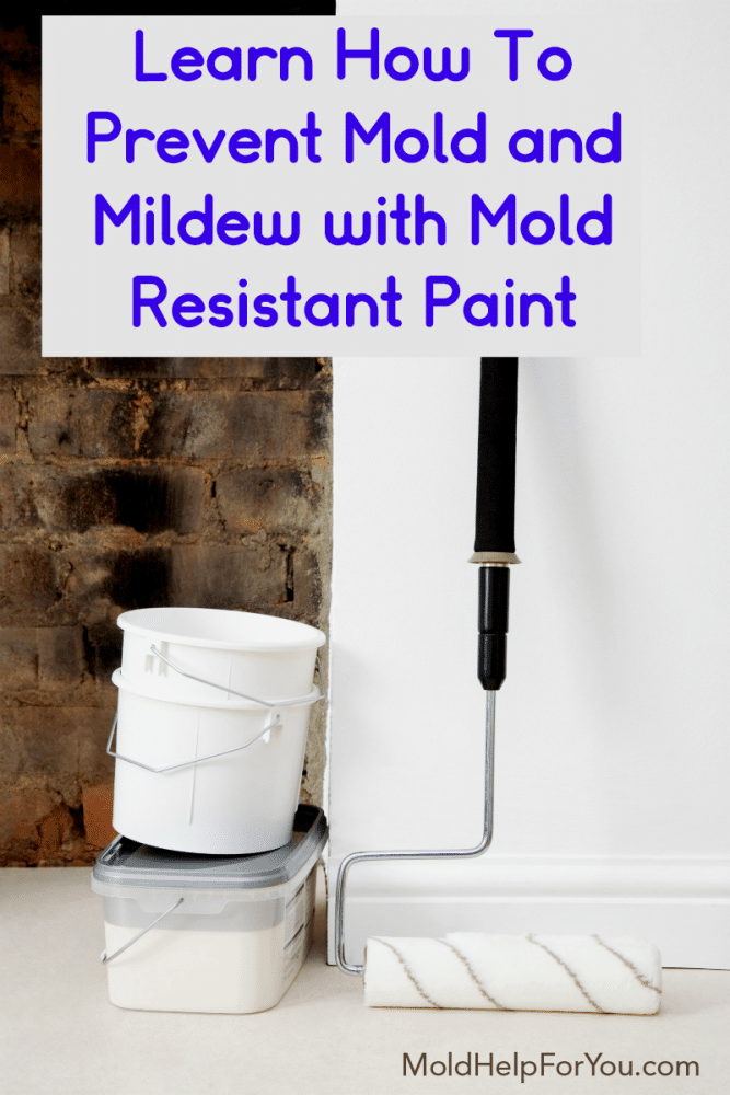 The Best Mold Resistant Paint | Mold Help For You