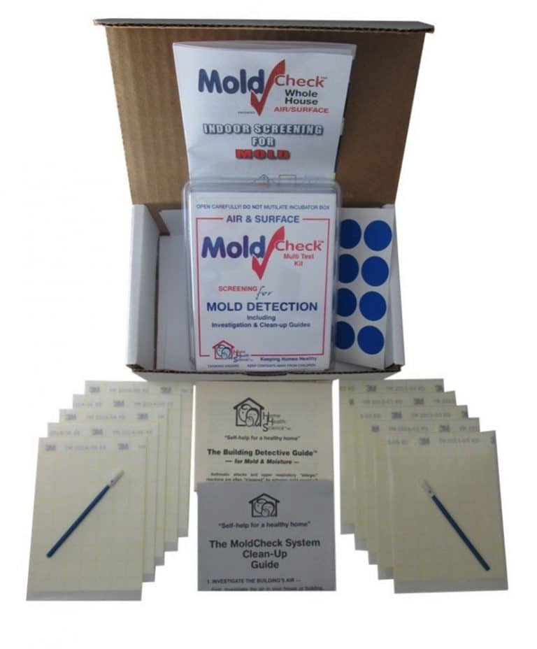 The 7 Best Mold Test Kits | Mold Help For You