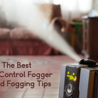 Mold Prevention | Mold Help For You