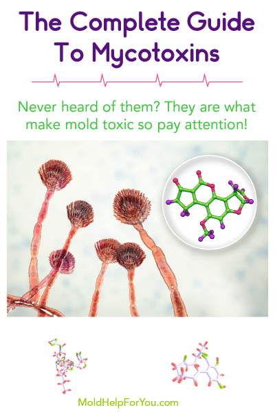 The Ultimate Guide To Mycotoxins and What Makes Mold Toxic | Mold Help ...