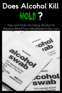 Does Alcohol Kill Mold? | Mold Help For You