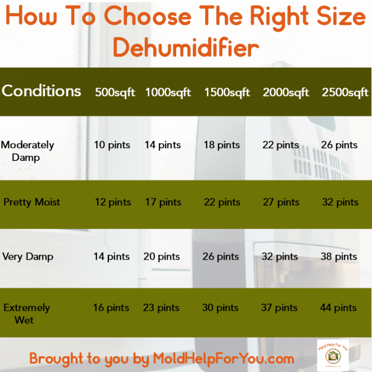 Best Dehumidifiers For Mold Prevention In Every Room | Mold Help For You