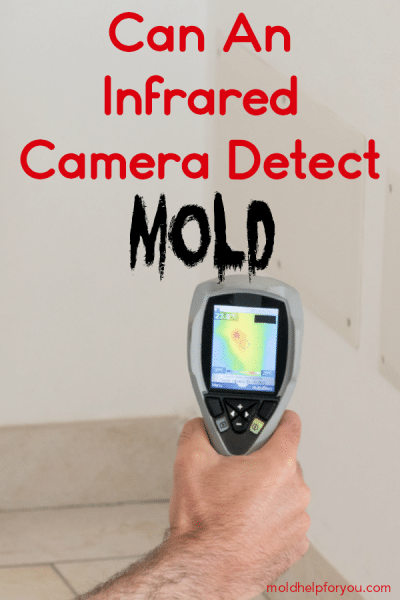 The Best Thermal Imaging Camera For Moisture and Mold Detection | Mold ...