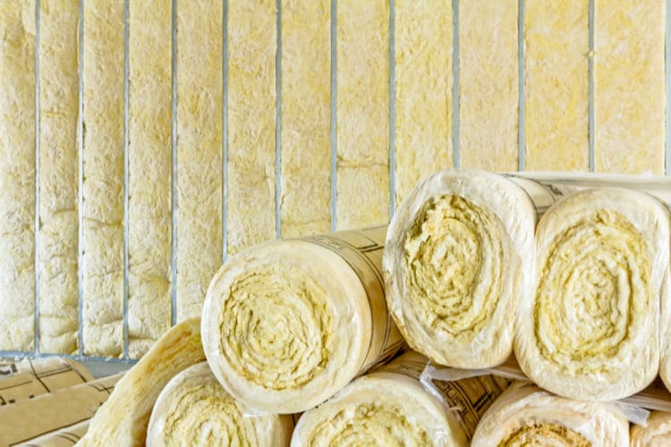 The Best Mold Resistant Building Materials To Mold Proof A Home | Mold ...