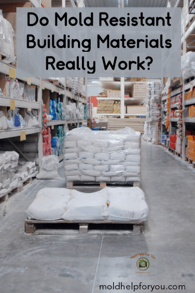 The Best Mold Resistant Building Materials To Mold Proof A Home | Mold ...