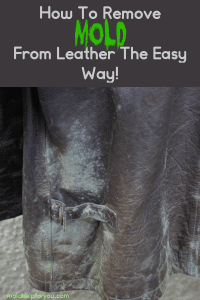 How To Remove Mold From Leather The Easy Way | Mold Help For You