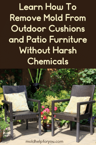 Outdoor Mold Prevention and Removal | Mold Help For You