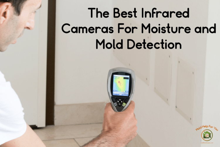 Recent Articles – Page 5