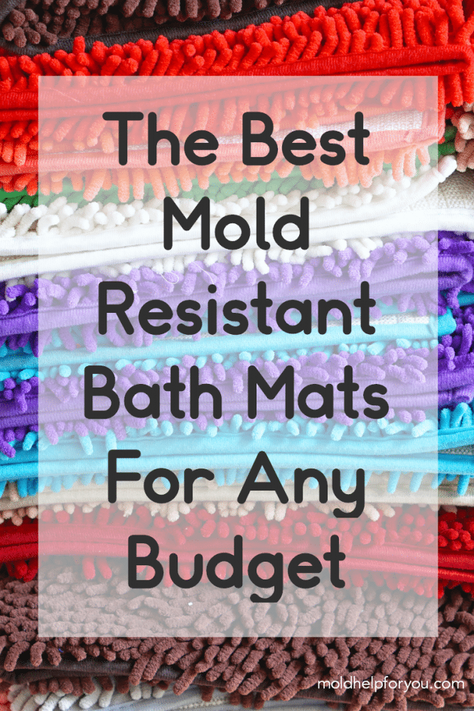 The Best Mold and Mildew Resistant Bath Mats For Any Budget | Mold Help ...