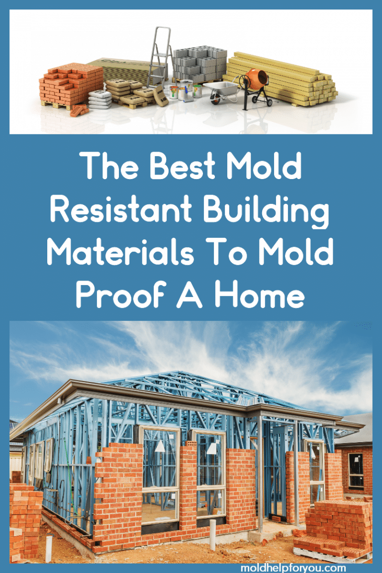 The Best Mold Resistant Building Materials To Mold Proof A Home | Mold ...