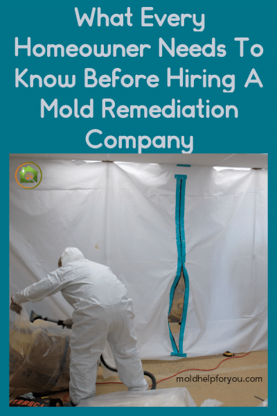 What You Need To Know Before Hiring A Mold Remediation Company | Mold ...