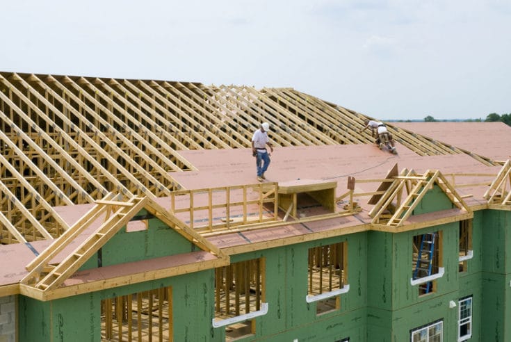 The Best Mold Resistant Building Materials To Mold Proof A Home | Mold ...