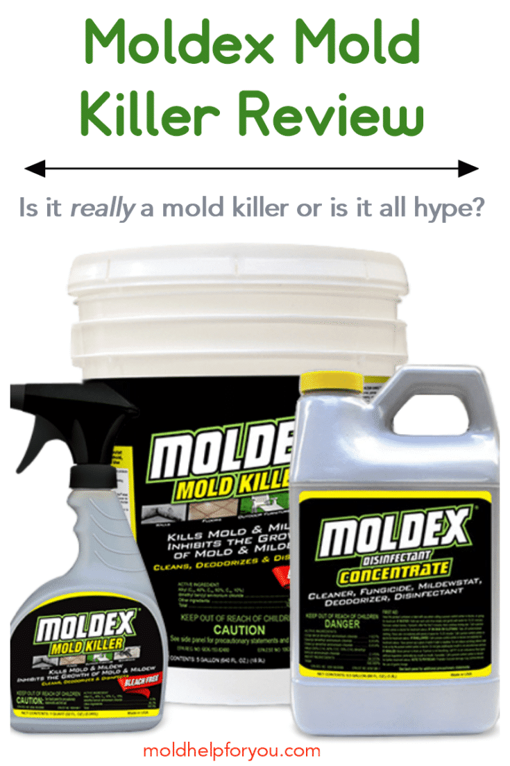 Moldex Review | Mold Help For You