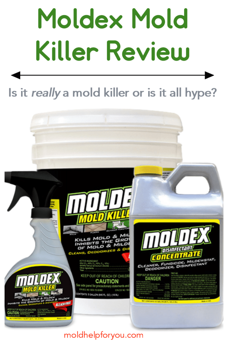 Moldex Review | Mold Help For You