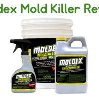 Mold Removal & How To Kill Mold | Mold Help For You