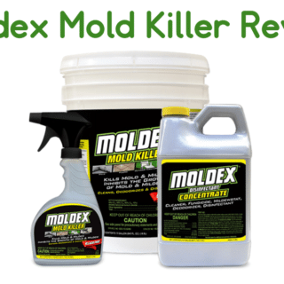 Mold Removal & How To Kill Mold | Mold Help For You