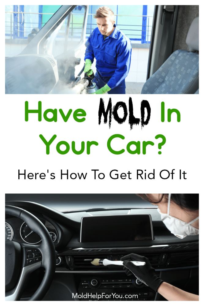 How Do You Get Rid Of Mold In A Car? | Mold Help For You