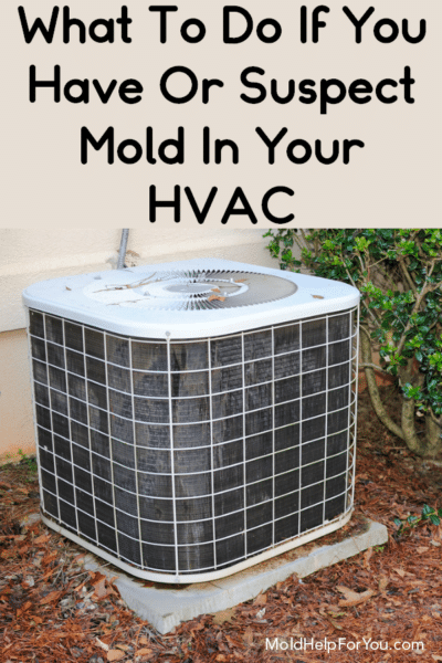 Your Guide To HVAC Mold & Mold In Air Ducts | Mold Help For You