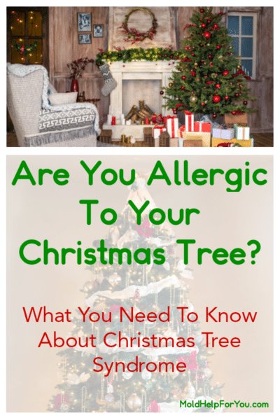 What You Need To Know About Christmas Tree Mold and Christmas Tree ...