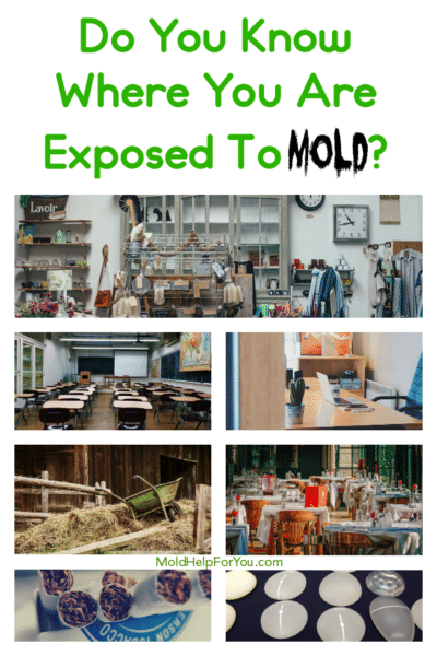 Do You Know Where You Are Exposed To Mold? | Mold Help For You