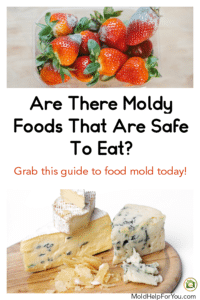 What You Need To Know About Moldy Food | Mold Help For You