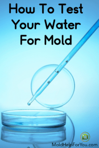 How To Test For Mold In Water + Water Mold Facts | Mold Help For You