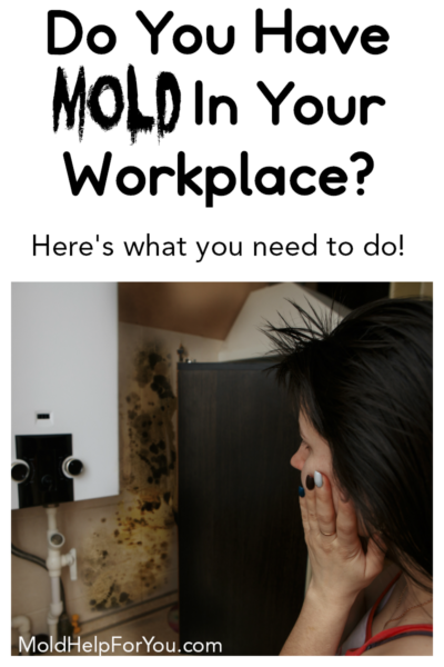 Mold In The Workplace | Mold Help For You