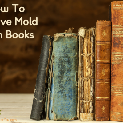 Mold Removal & How To Kill Mold | Mold Help For You