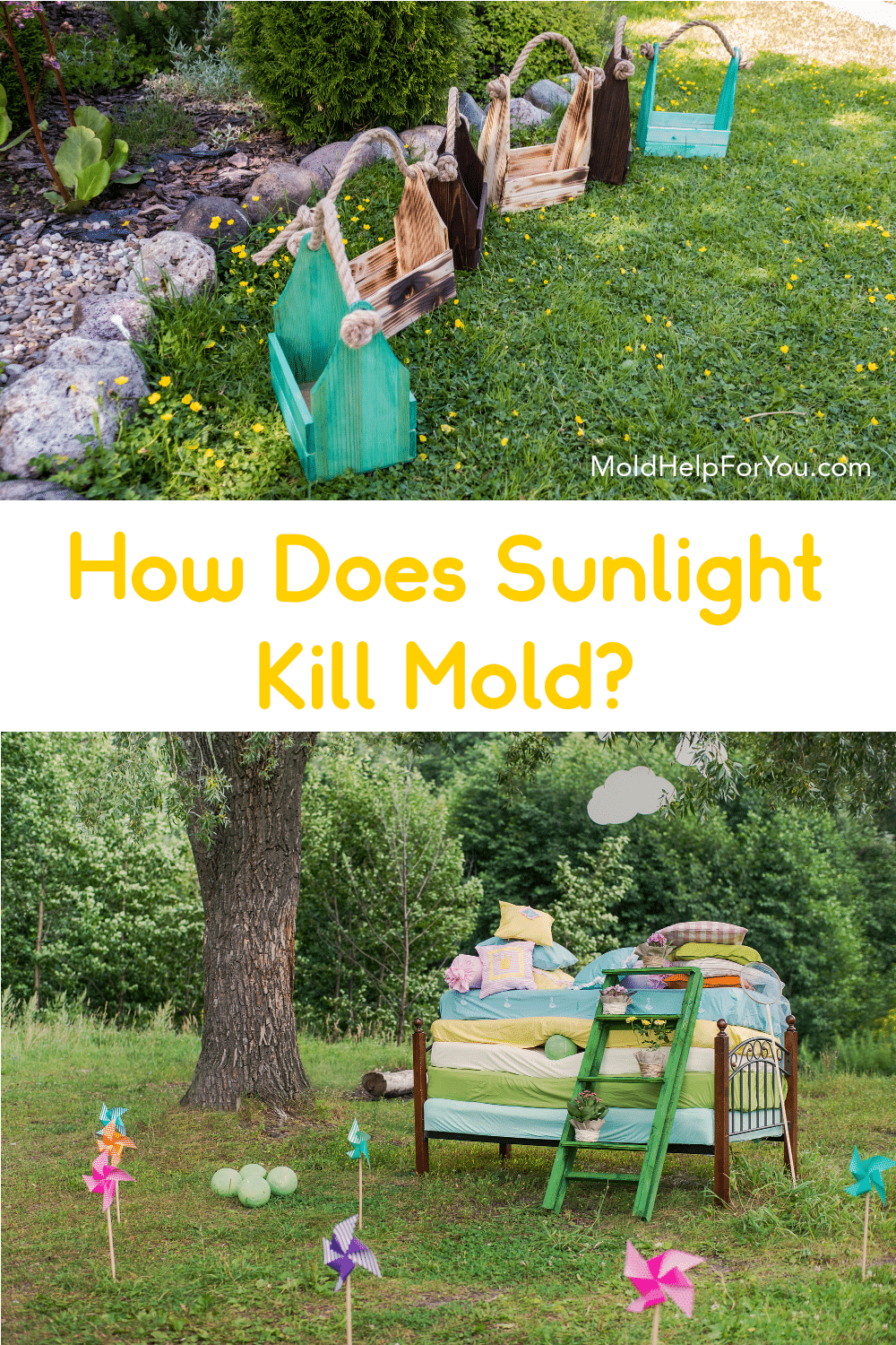 Does Sunlight Kill Mold