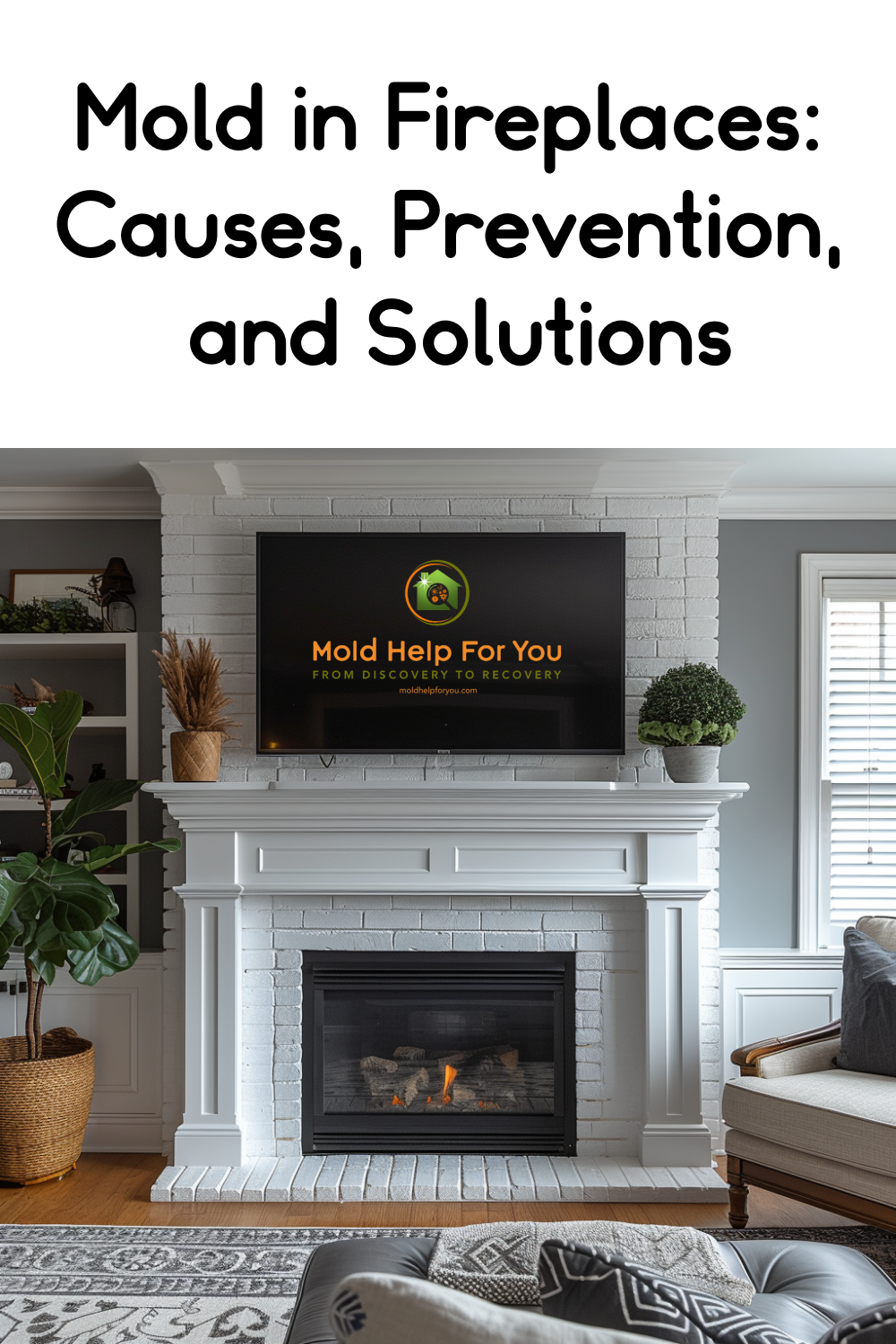 Mold in Fireplaces: Causes, Prevention, and Solutions