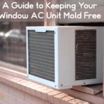 Mold Removal & How To Kill Mold | Mold Help For You