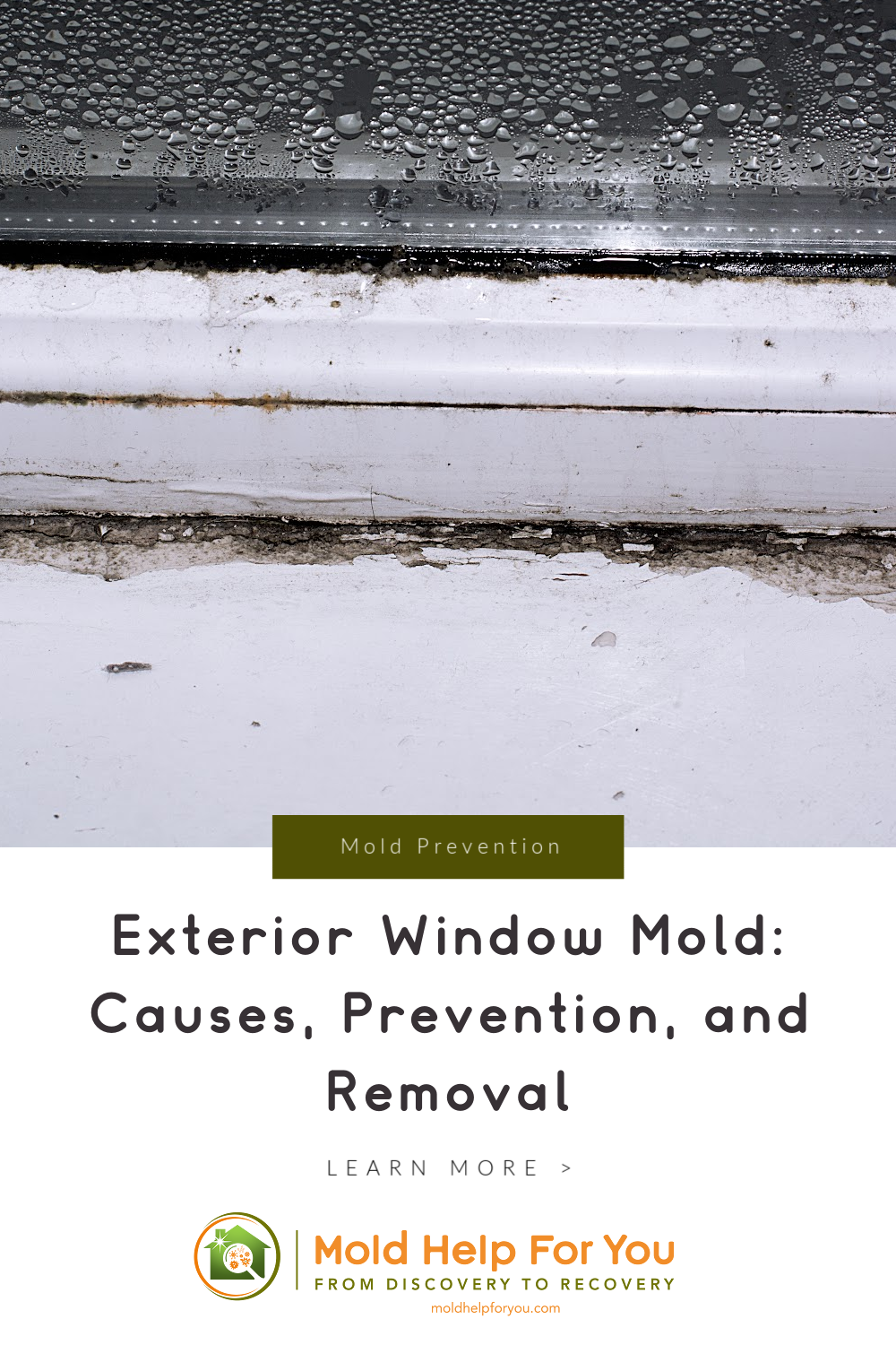 Exterior Window Mold: Causes, Prevention, and Removal | Mold Help For You