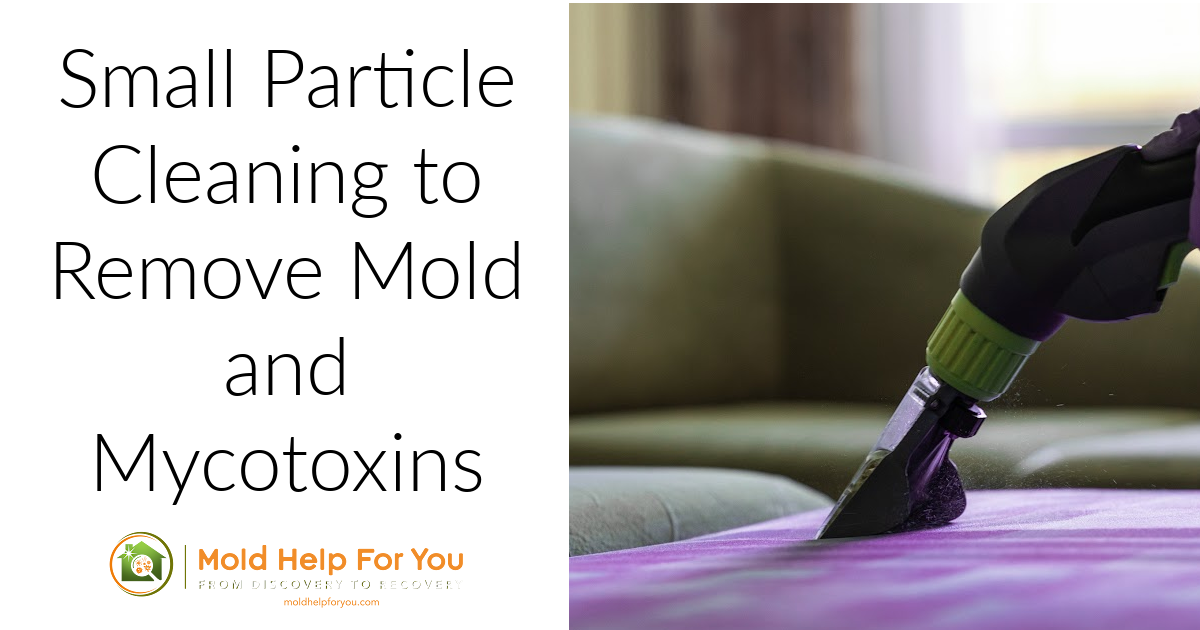 Small Particle Cleaning | Mold Help For You