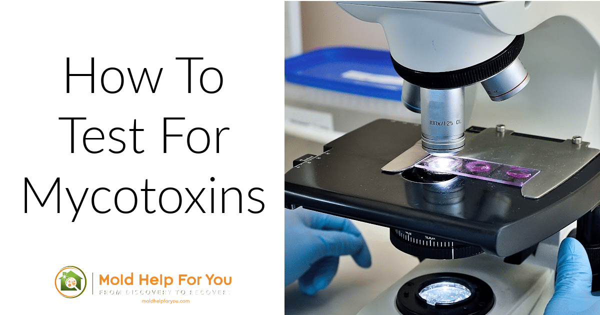 How To Test For Mycotoxins | Mold Help For You