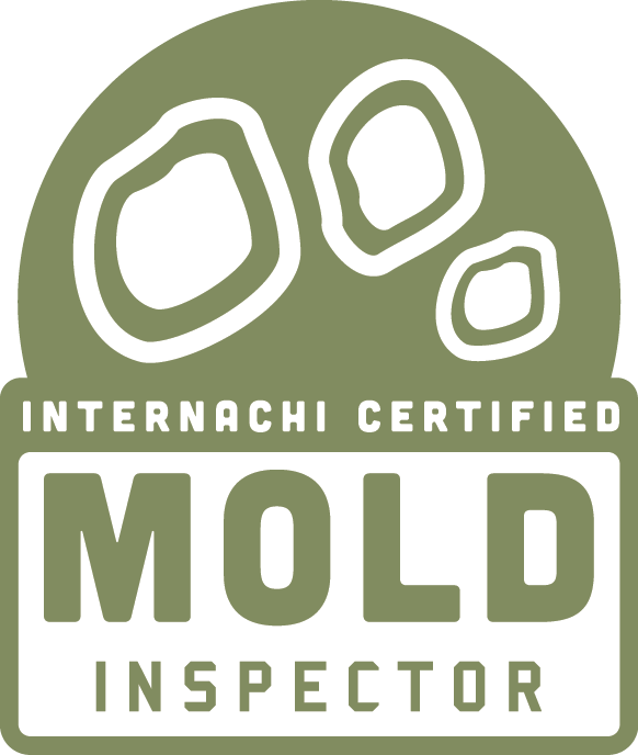 Active Mold vs. Inactive Mold